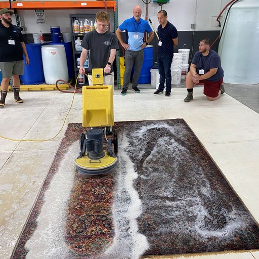 2022/07 - Discover Rug Cleaning (Indianapolis, IN) – Association of Rug ...